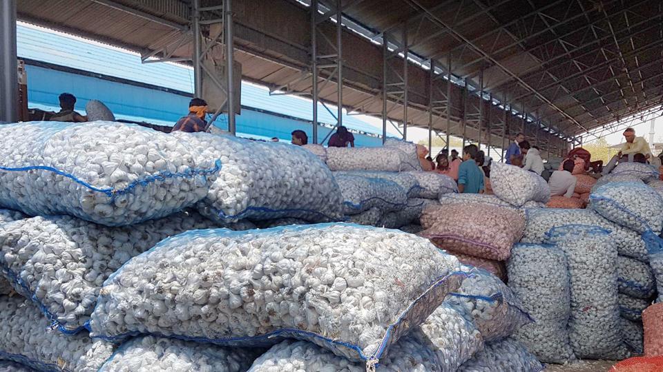 Major garlic producing states in India - production and area under ...