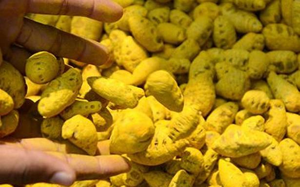 Major turmeric producing states in India - production and area under ...